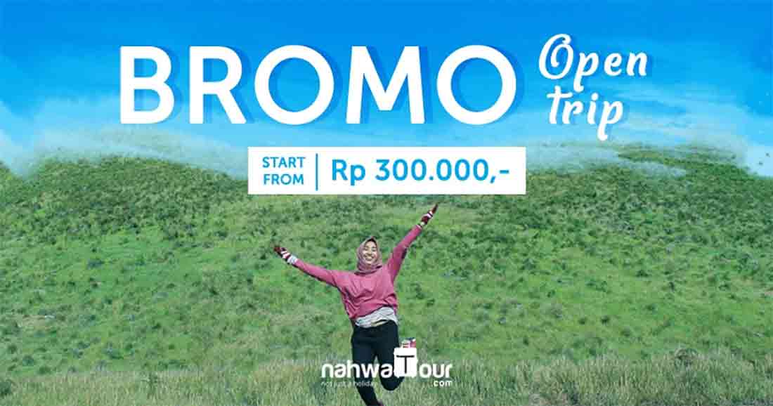 Bukit Teletubbies di Savana Bromo Bukit Teletubbies di Savana Bromo
