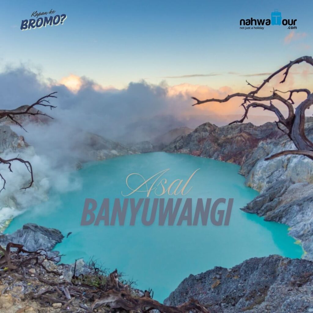 Bagaimana Cerita Asal-Usul Banyuwangi? | Nahwa Tour