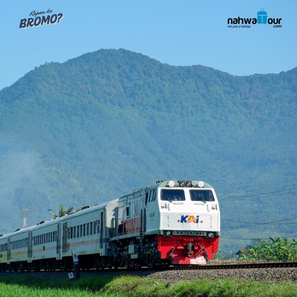 Kereta Api Jurusan Banyuwangi Apa Saja? | Nahwa Tour