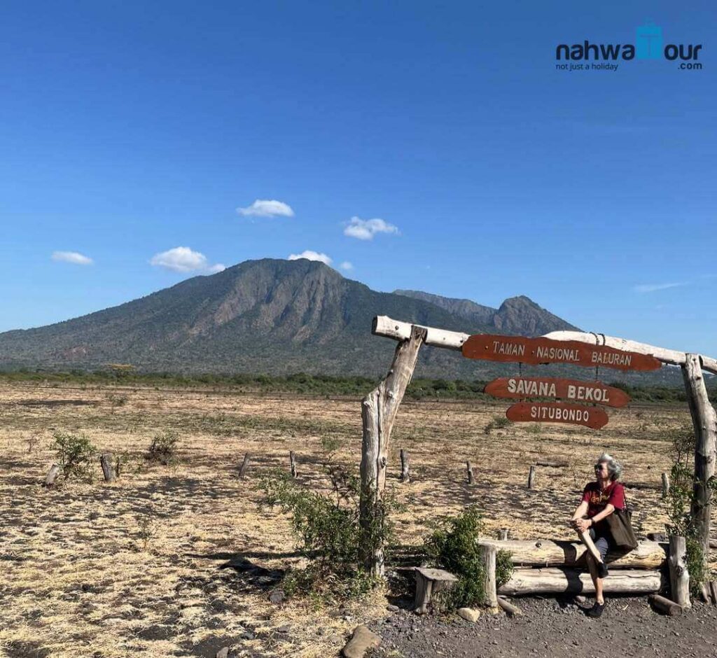 Taman Nasional Baluran Ada di Provinsi Apa? | Nahwa Tour